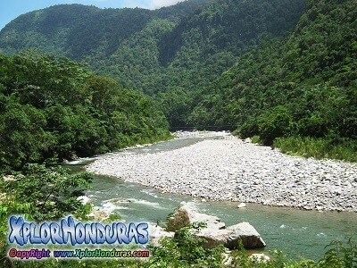 Cuenca del Rio Cangrejal - La Ceiba Honduras : XplorHonduras Honduras