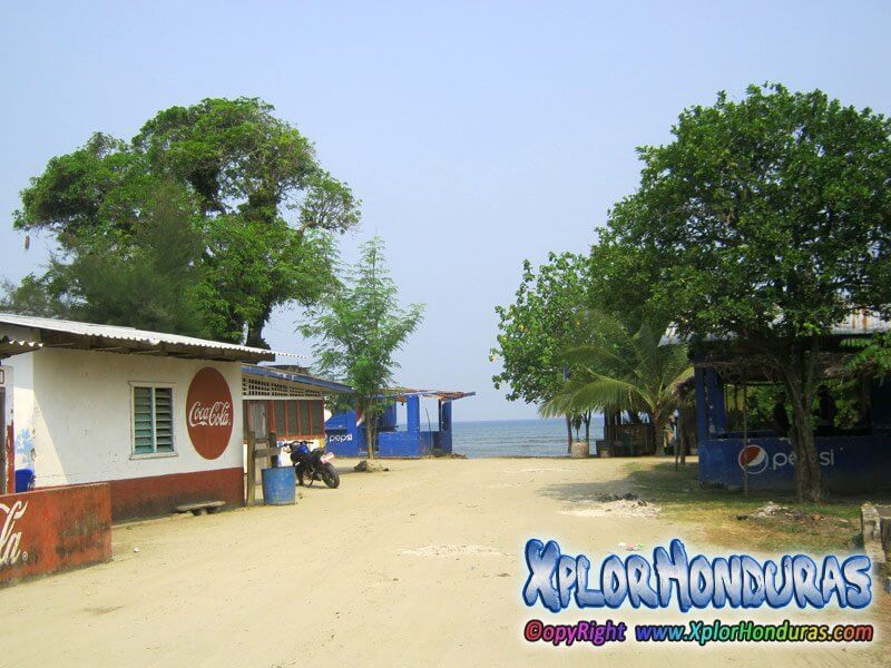 San Juan - Comunidad Garifuna de San Juan Durugubuti, Tela ...